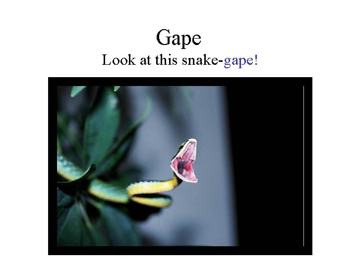 Vocabulary In Pictures Unit 1 Vocabulary Notes We