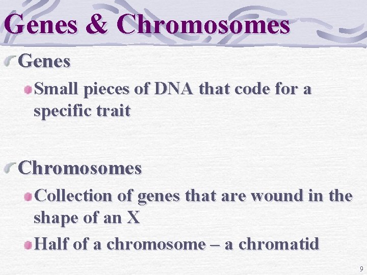 GENETICS DNA Basics 1 DNA The Molecule of