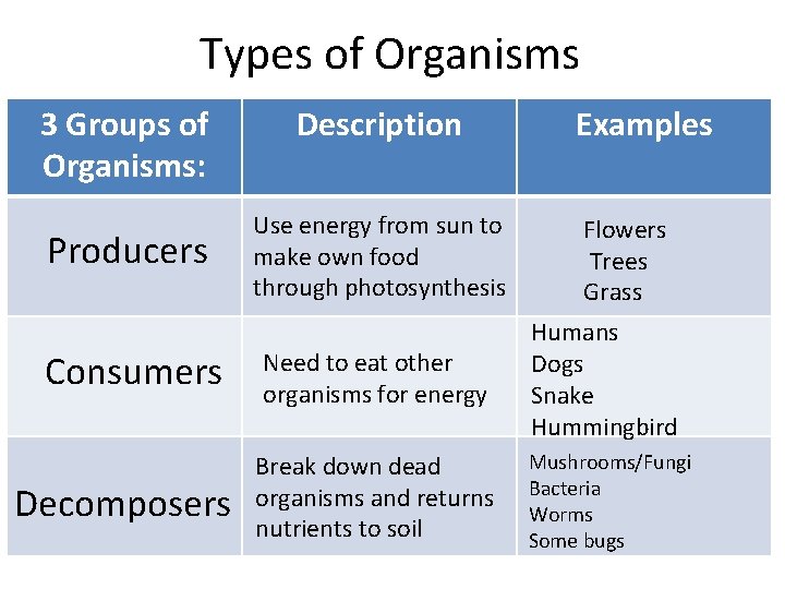 Types of Organisms and Food Webs Types of