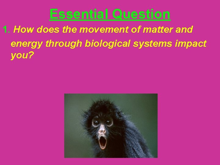 Biology Notes Ecology Part 2 Pages 402 411