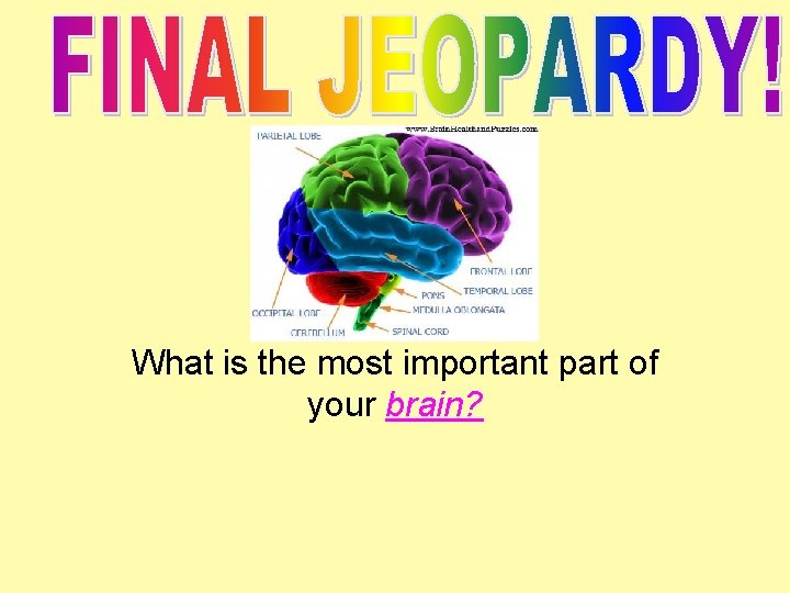 Jeopardy Hosted by Luke The Brain Damage Random