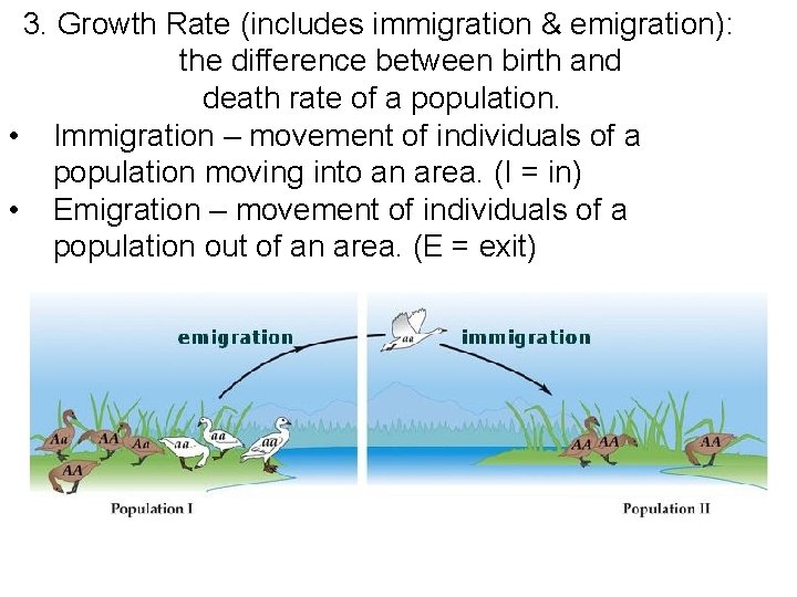 Geochemical Cycles Symbiosis Population Growth Biogeochemical Cycles of