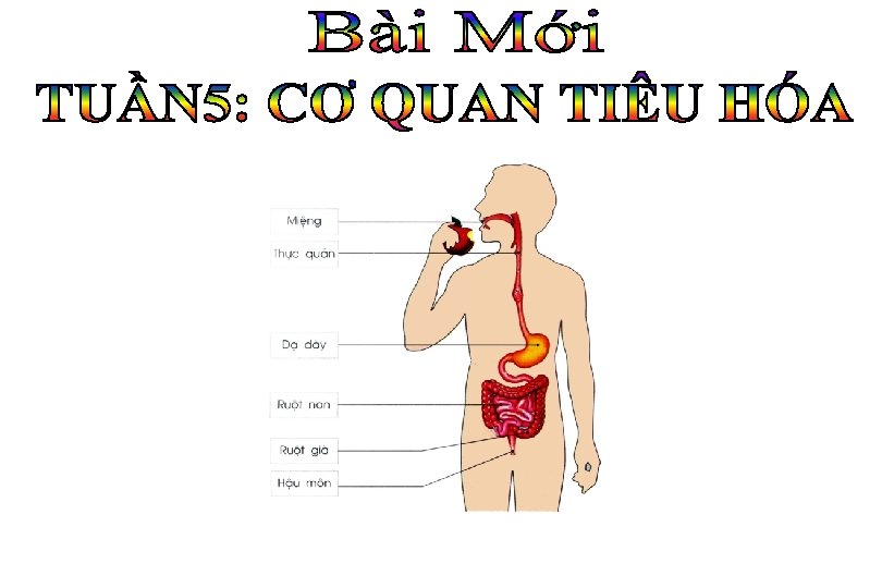 Kim tra bi c 1 Chng ta nn