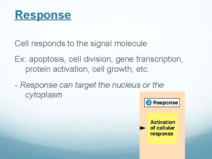 Cell Communication REVIEW Cell Signaling cells communicate by