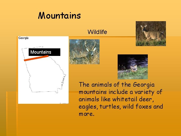 Lets learn about Habitats of Georgia Question Why