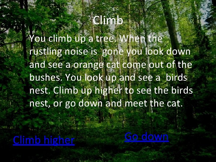 The Mysterious forest By Delaney Collazo Click here