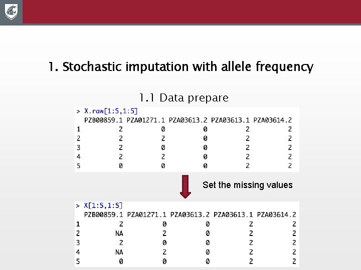 Lab 4 Impute Crop 545 Spring 2021 Agenda