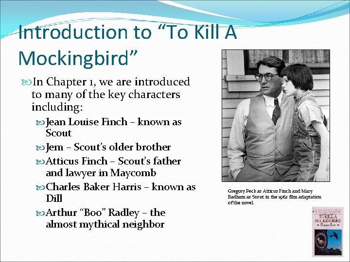 To Kill A Mockingbird Harper Lee Why To