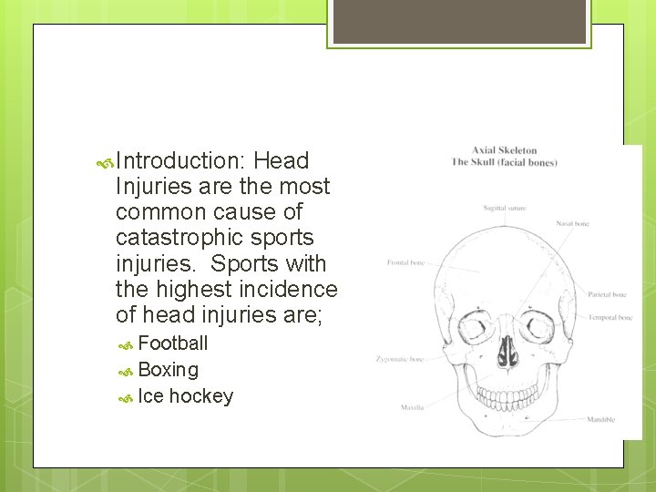 Sports Medicine Head Injury Terminology and Identification Bellwork