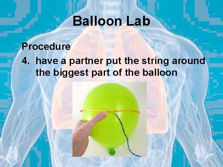 The Respiratory System Balloon Lab Every person has