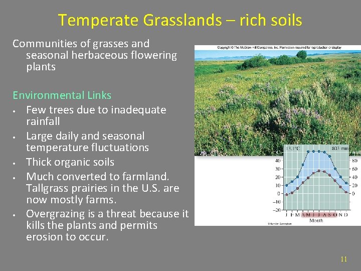 Ch 5 Biomes Global Patterns of Life What