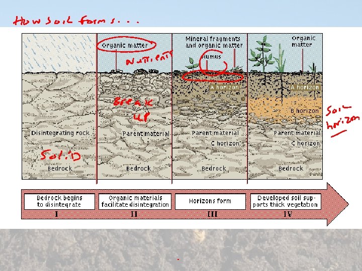 The Ground Beneath Our Feet SOIL UNIT What