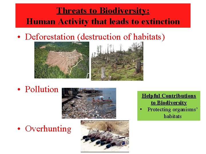 Title your page Biodiversity and Sustainability Notes life