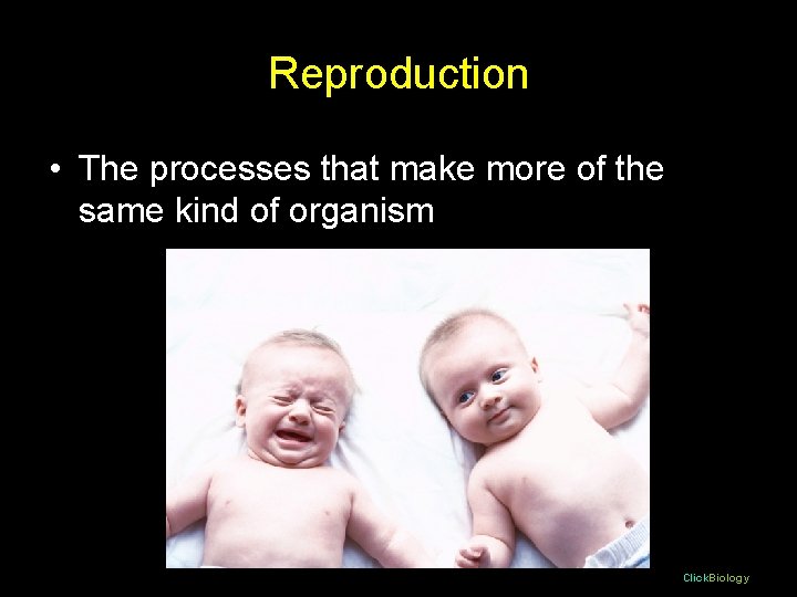 Click Biology Cambridge IGCSE Biology Characteristics of Living