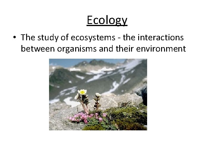 Ecology The study of ecosystems the interactions between
