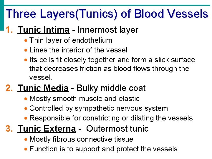 Chapter 11 Part 3 The Cardiovascular System Blood