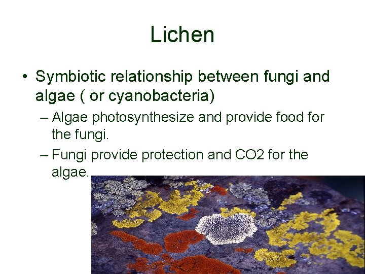 Changes in Ecosystems Ecological Succession Bozeman Science ecological