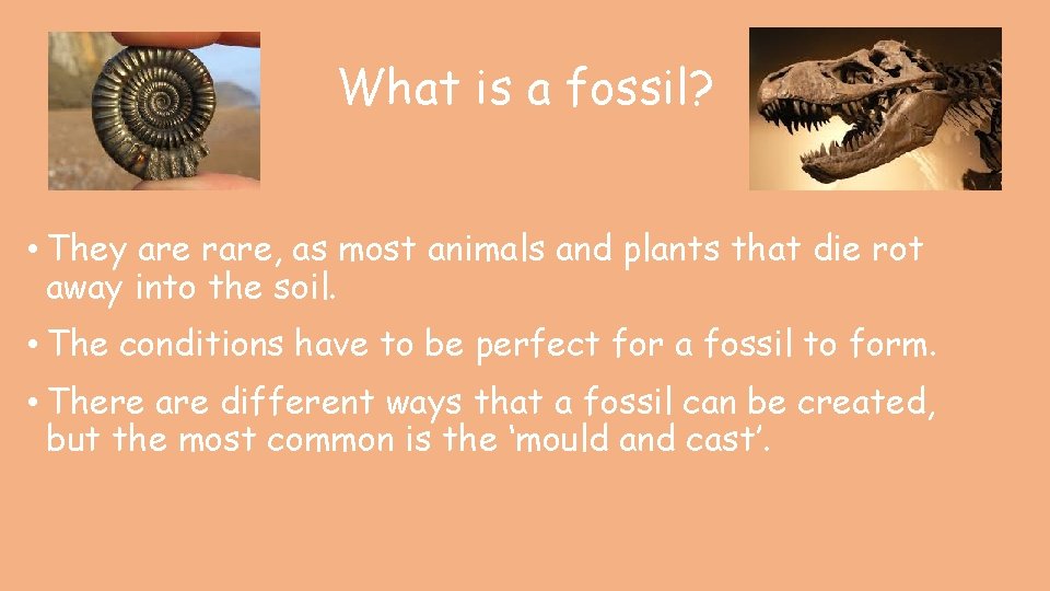 Science LI to describe how fossils are formed