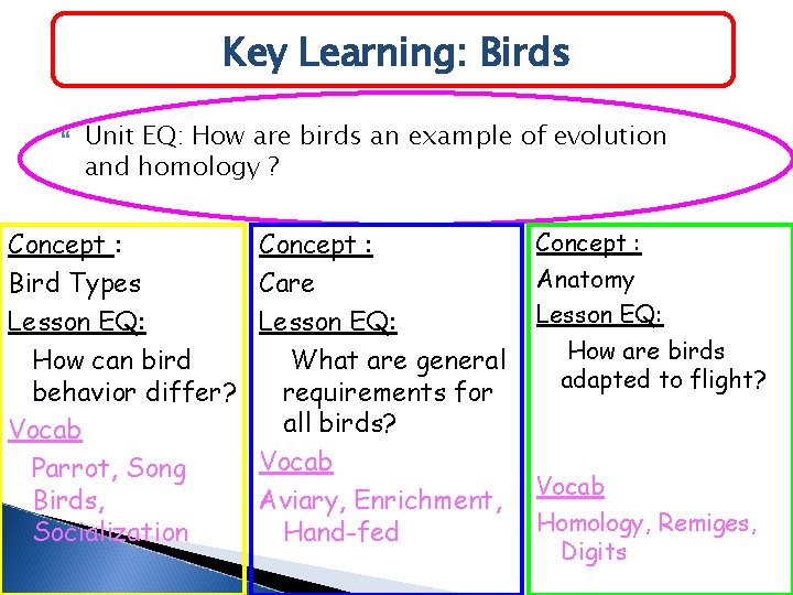 Birds Types Animal Science Level 1 Intro Video