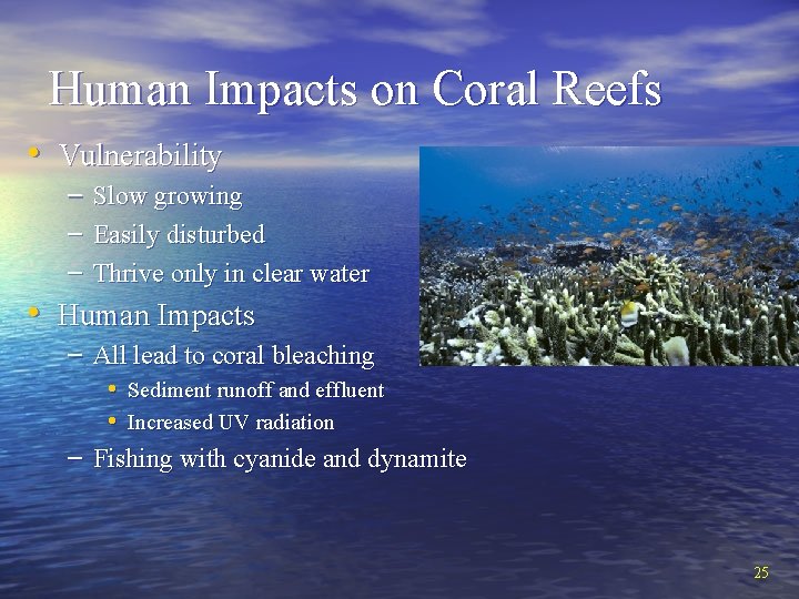 Biomes Global Patterns of Life 1 Terrestrial Biomes
