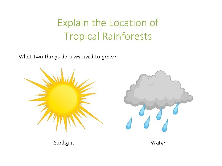 Where Are Tropical Rainforests How Can We Describe