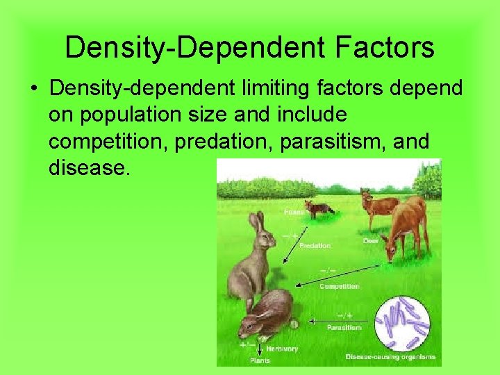 Ecology Lesson 9 5 Lesson Objectives Define population
