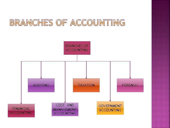 CHAPTER 1 BASIC ACCOUNTING CONCEPTS AND CONVENTIONS BASIC