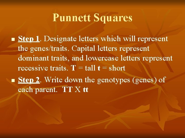 Genetics Biology Standard 7 Miss Plumley What is