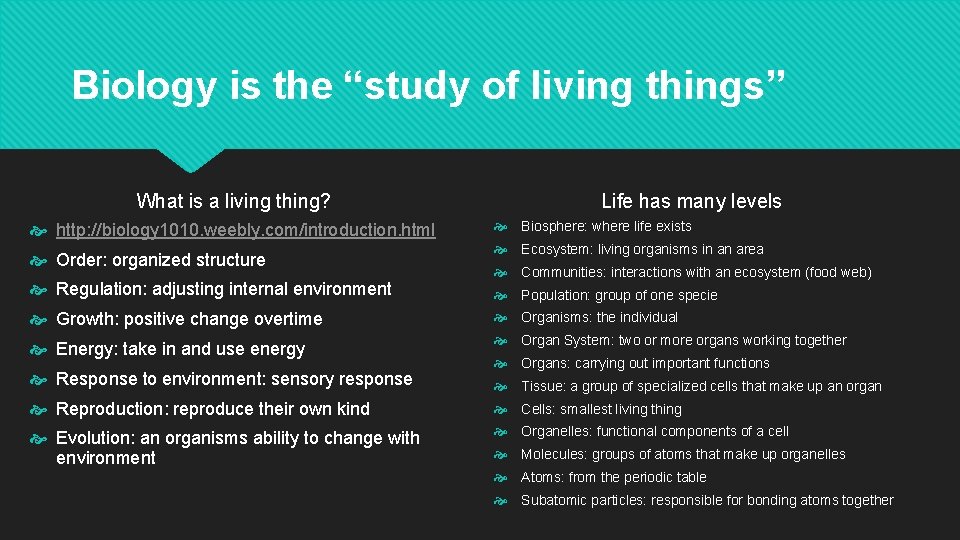 What is Biology Chapter 1 Biology is everywhere