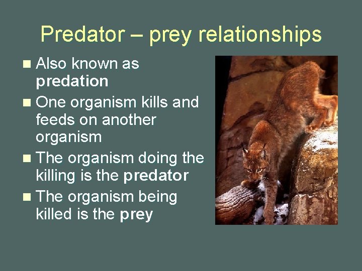 Unit D Living Systems Chapter 1 The biosphere
