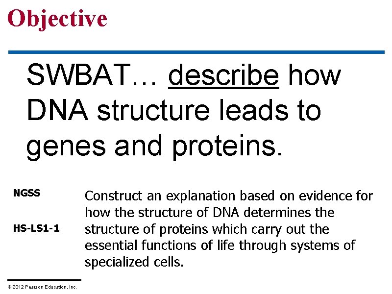DO NOW QUESTIONS What are the 4 bases