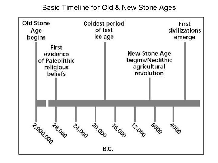 What is world history a branch of knowledge