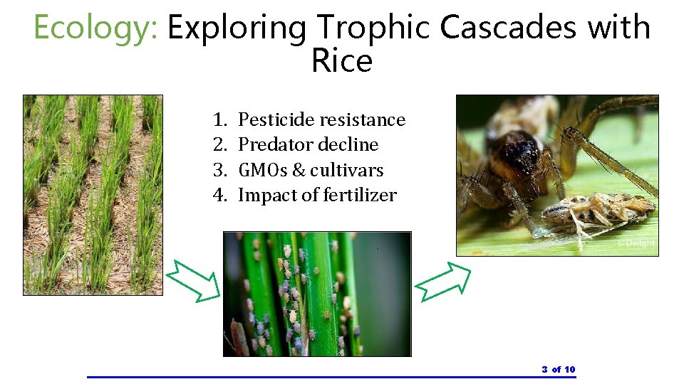 Acknowledgments Melissa Csikari Kristine Grayson Rebecca Orr Sat