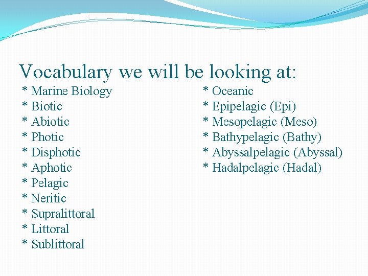 Marine Biology Day 1 Drill What is Marine