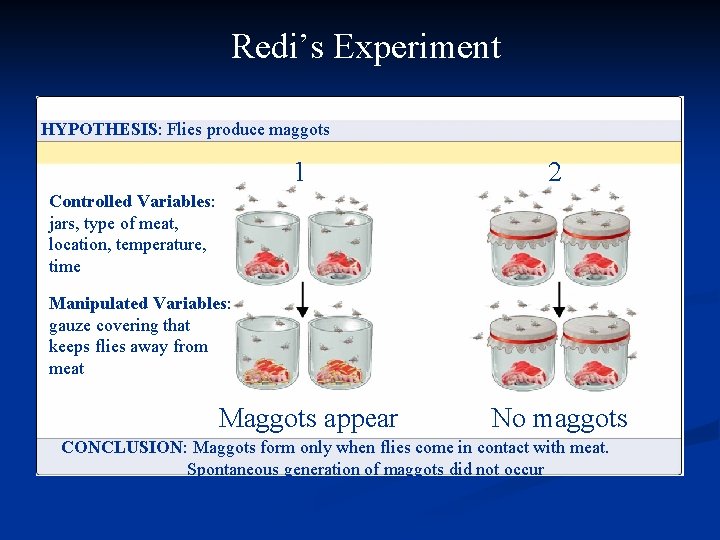 Scientific Method 1 Observation 2 Hypothesis educated guess
