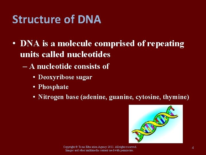 Deoxyribonucleic Acid DNA Forensic Science Copyright and Terms