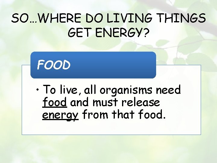 PHOTOSYNTHESIS CELLULAR RESPIRATION REMEMBERCHARACTERISTICS OF LIVING ...