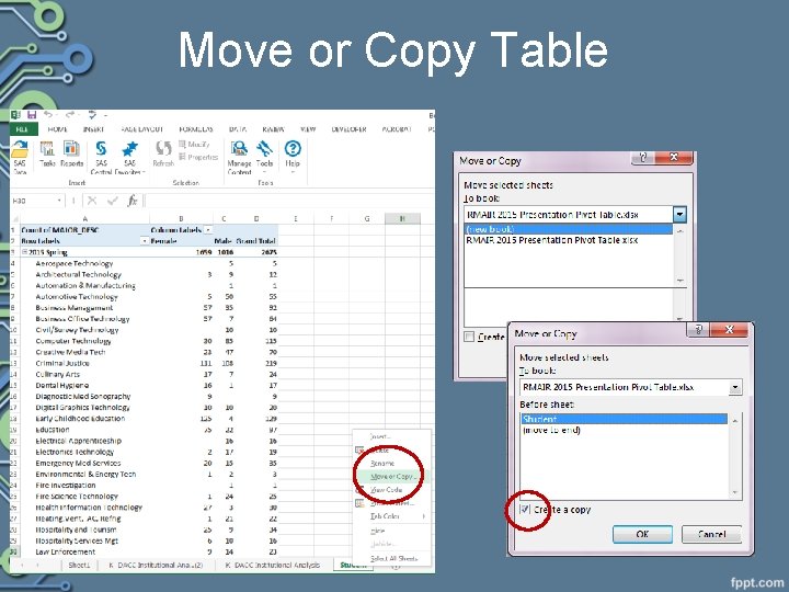 Data Flow SAS to Excel Renee Pardee Database