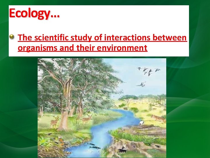 Ecology Ecology The scientific study of interactions between