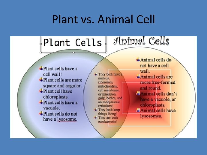 Chapter 11 The Cell Basic Unit of Life