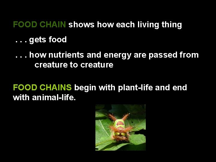 FOOD CHAIN The process of eating and being