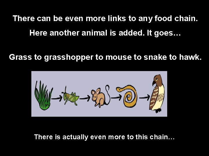 FOOD CHAIN The process of eating and being