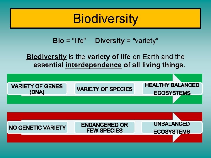 ECOLOGY The study of the interactions between organisms