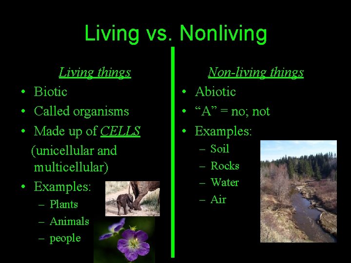 Characteristics of Living Things What is Biology Biology