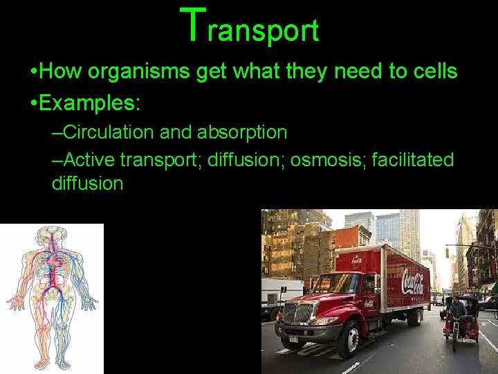 Characteristics of Living Things What is Biology Biology