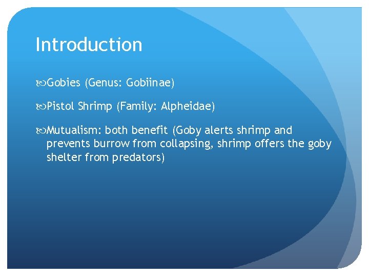 Goby and shrimp symbiosis By Matthew Cheung Introduction
