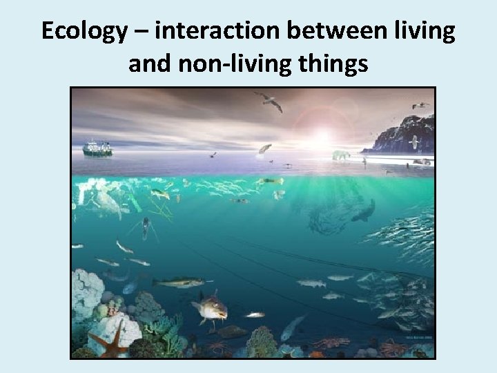 ECOLOGY Ecology interaction between living and nonliving things