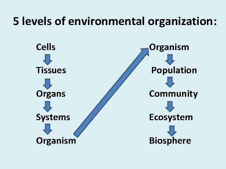 ECOLOGY Ecology interaction between living and nonliving things