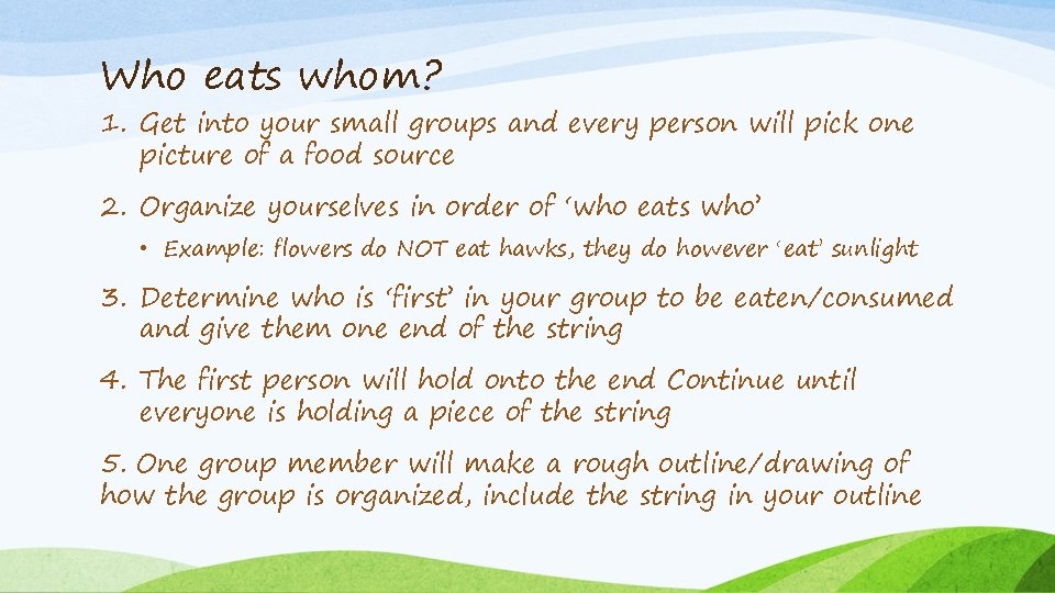 Food Webs Energy Transfer 8 L 5 1