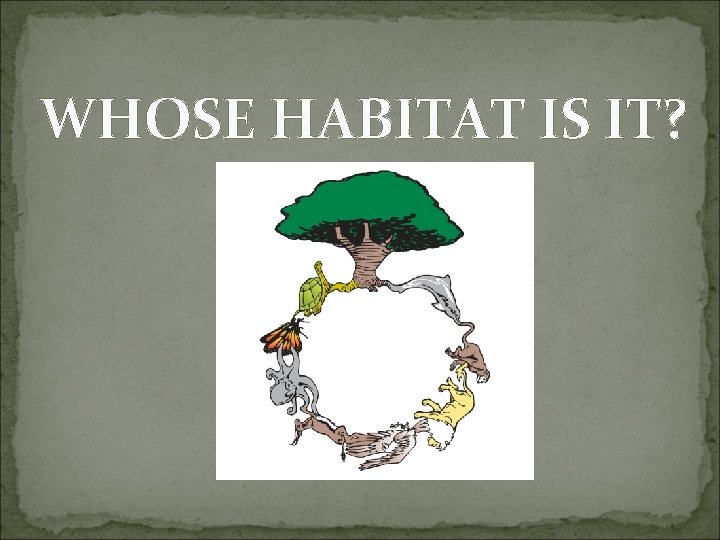 WHOSE HABITAT IS IT OBJECTIVES TODAY WE WILL